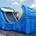 Wave Rider | South Florida Bounce